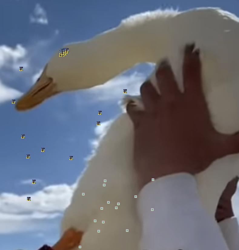 duck - Mario Kart PC