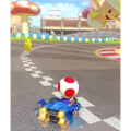 Toad Circuit - Mario Kart PC