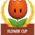 Flower Cup - Mario Kart PC