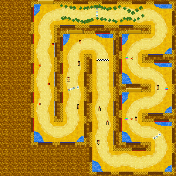 Crowded Desert - Mario Kart PC