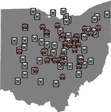 OHIO - Mario Kart PC