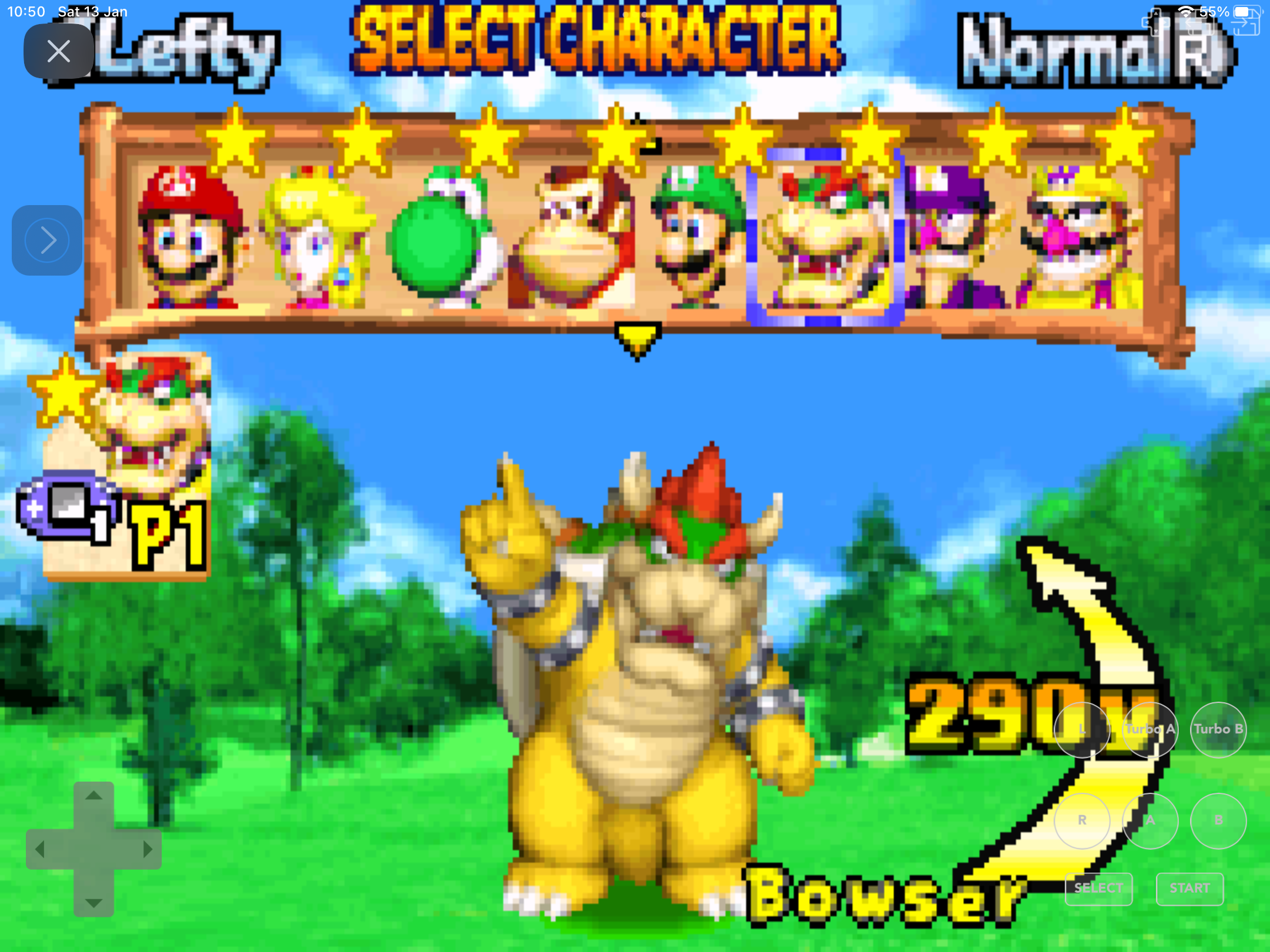 Mario kart ds - Mario Kart PC