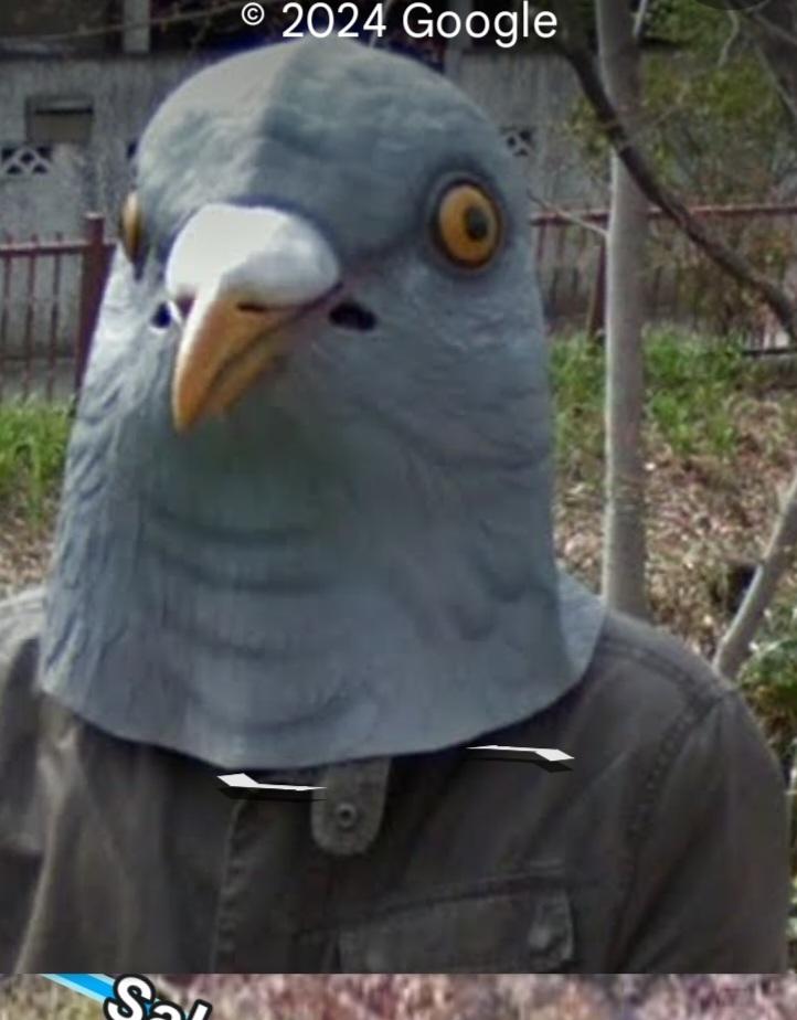 The Giant Pigeon - Mario Kart PC