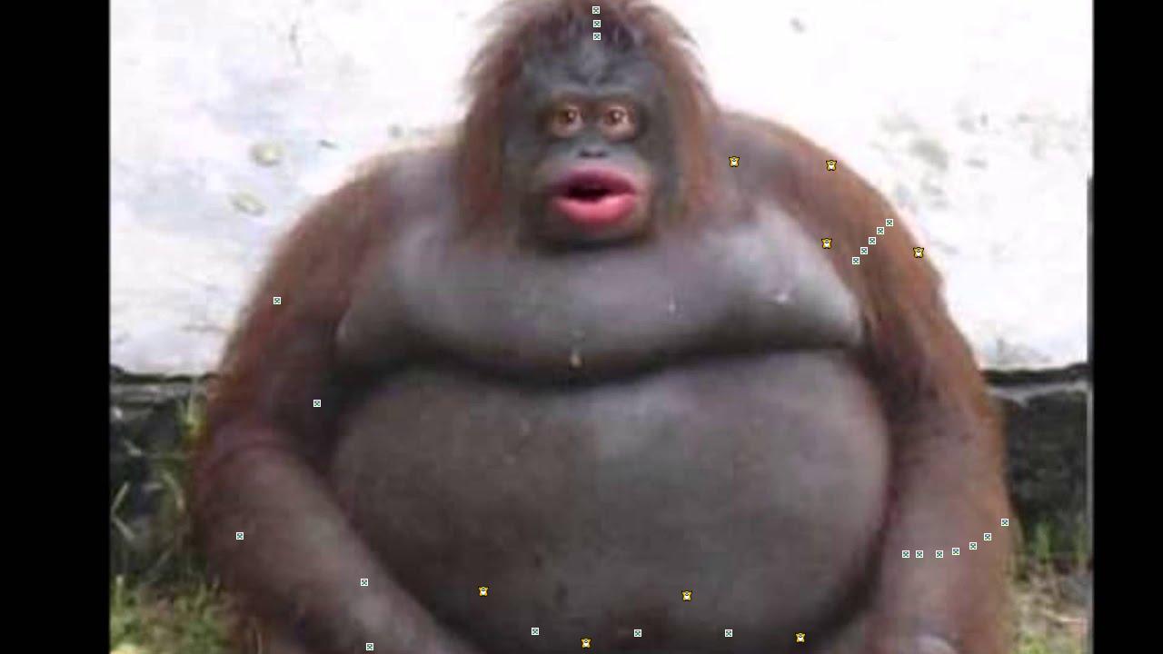 uh oh stinky circuit - Mario Kart PC