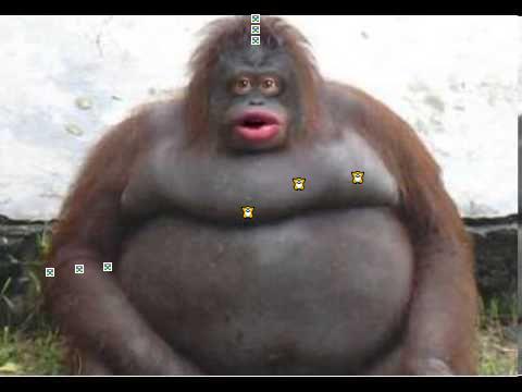 Le Monke - Mario Kart PC