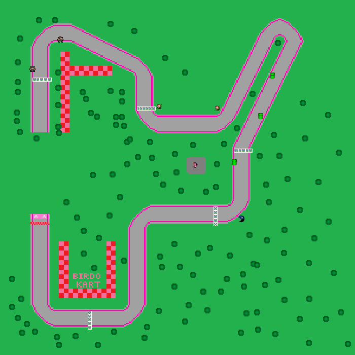 Birdo Circuit - Mario Kart PC